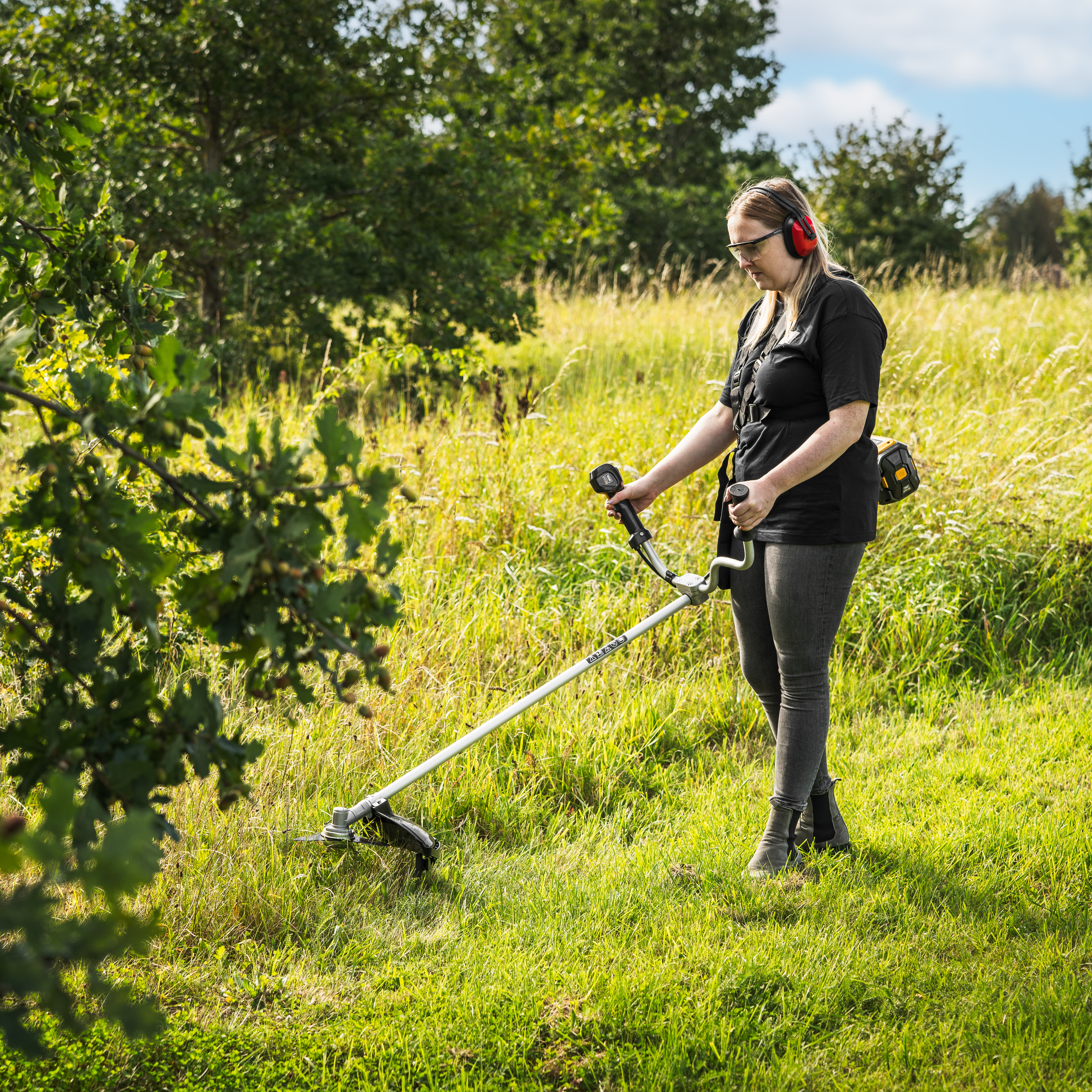BCZ5800 (58V) - Solo Buskrydder - Køb Texas BCZ5800 (58V) - Solo på www ...